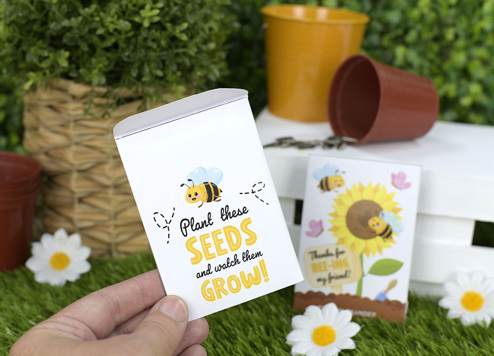 Eco-Friendly Seed Envelopes - Perfect End of Term Classroom Gift ...