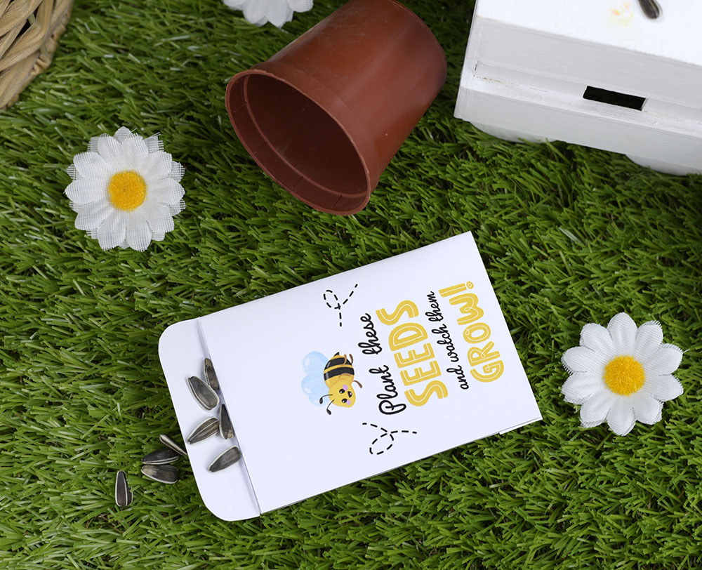 Eco-Friendly Seed Envelopes - Perfect End of Term Classroom Gift ...